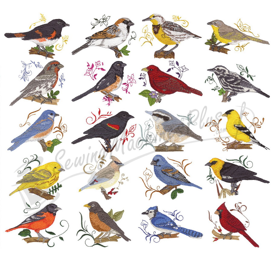 Dakota Collectibles Sweet Songbirds Embroidery Designs 970397 dakota-collectibles-sweet-songbirds-embroidery-designs-970397